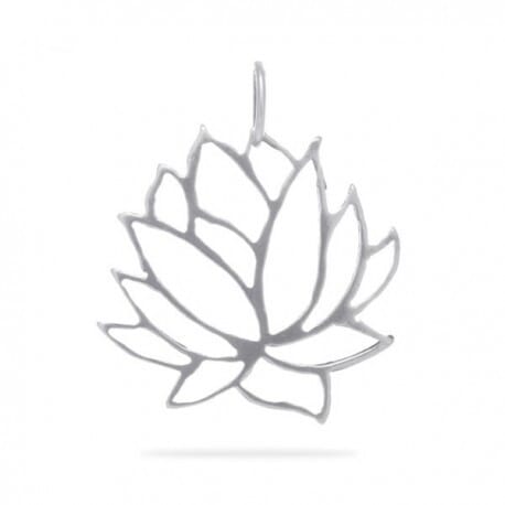 Lotus Flower Symbol Of Fertility | Best Flower Site